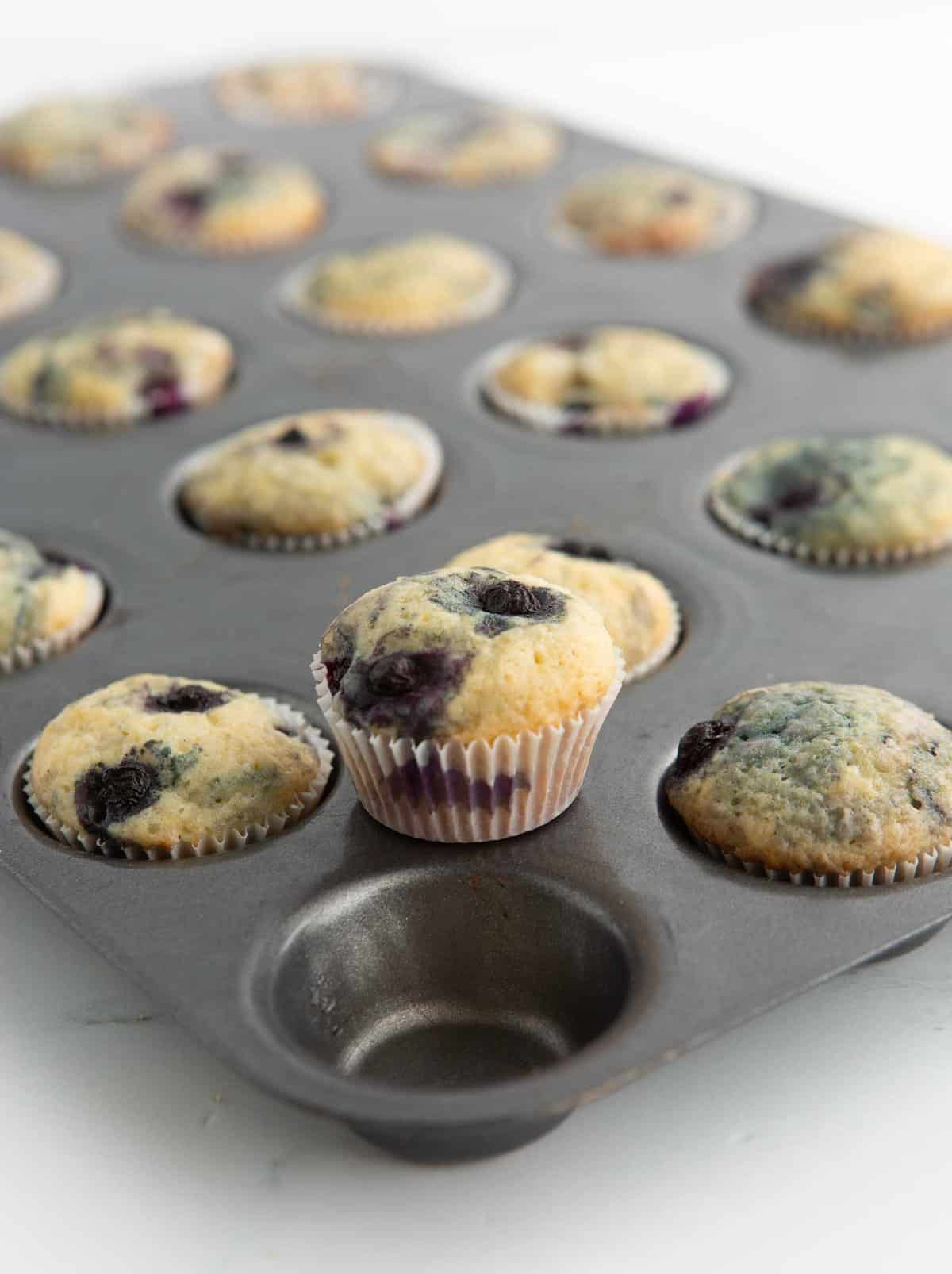 Mini Blueberry Muffins - Design Eat Repeat