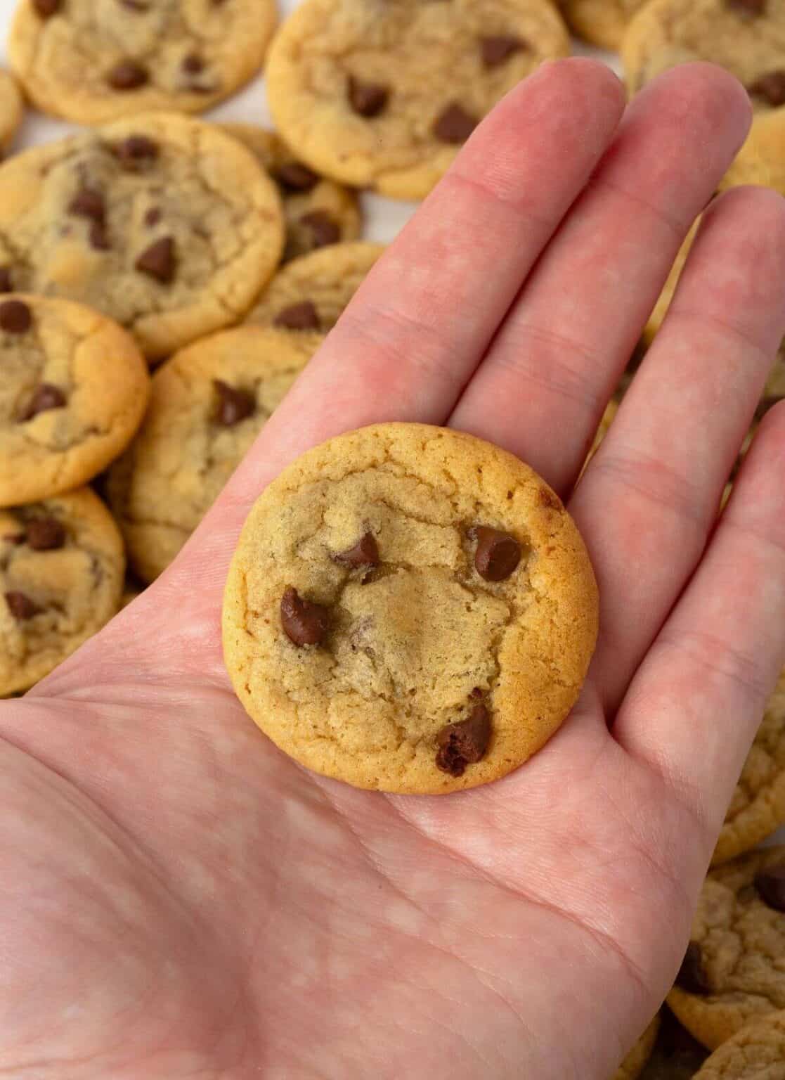 Mini Chocolate Chip Cookies - Design Eat Repeat